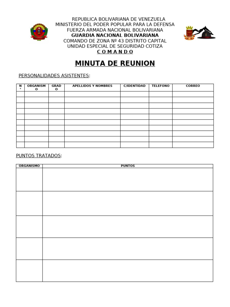 Minuta de Reunion | PDF
