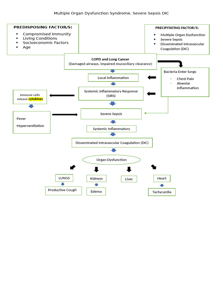 Multiple Organ Dysfunction Syndrome | PDF