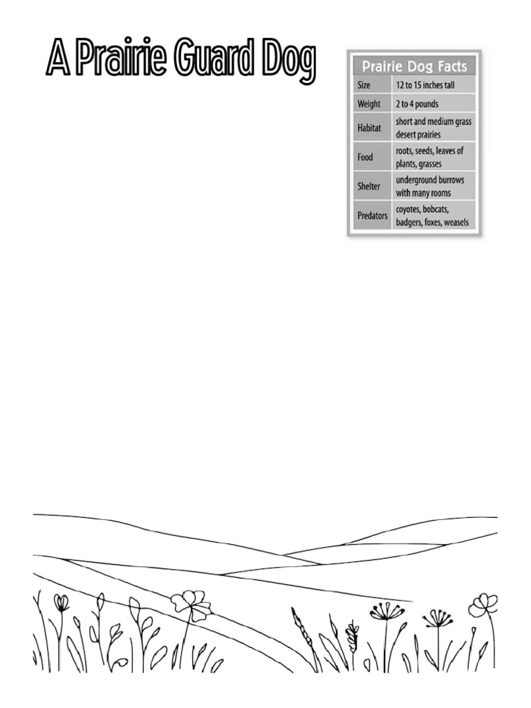 A Prairie Guard Dog | PDF