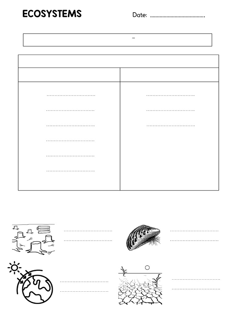 Ecosystems Wsheet | PDF