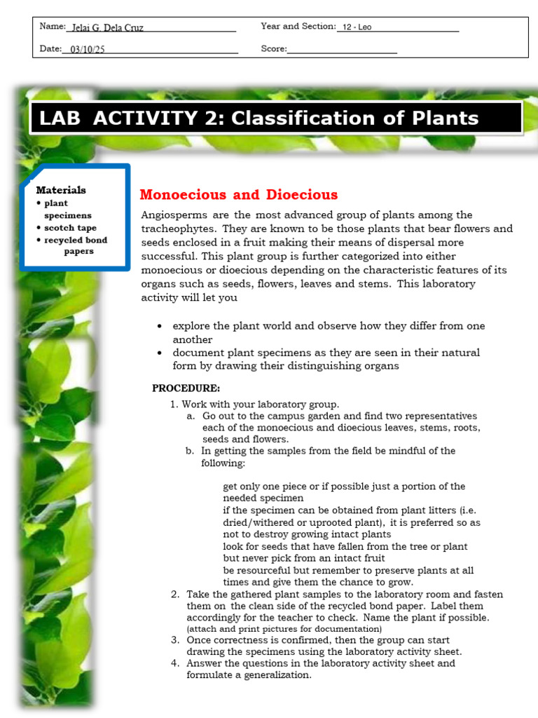 Plant Classification and Observation Lab | PDF | Leaf | Plants