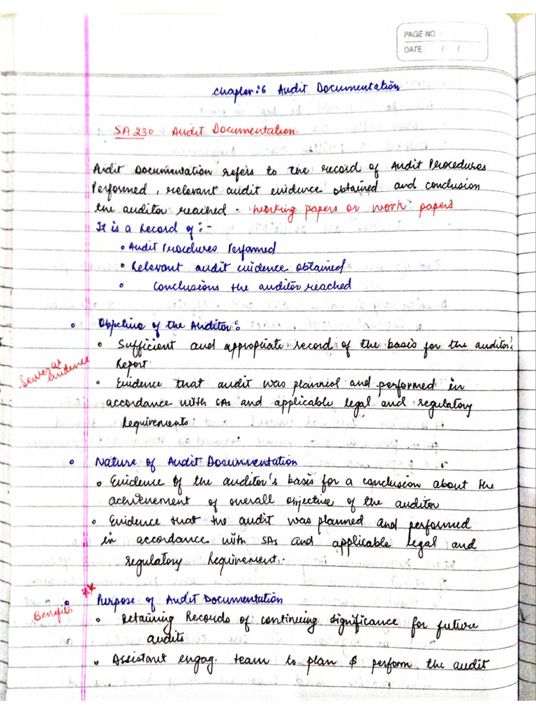 Chapter 6 Audit | PDF