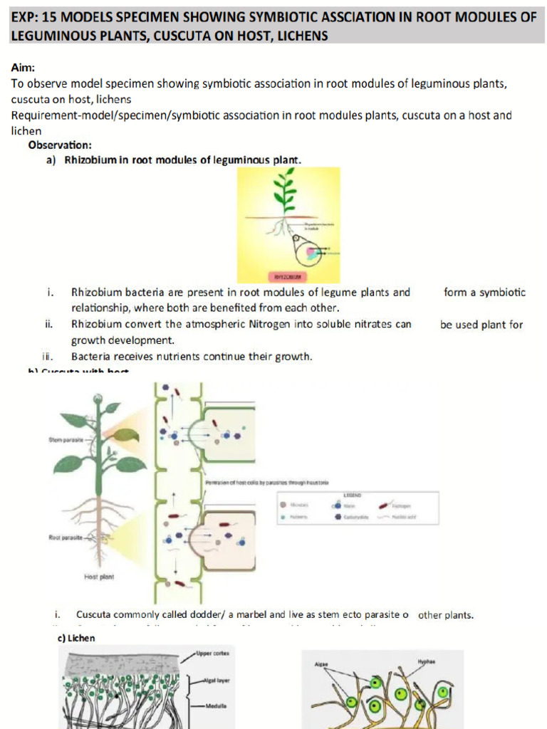 Bio Lab Record | PDF