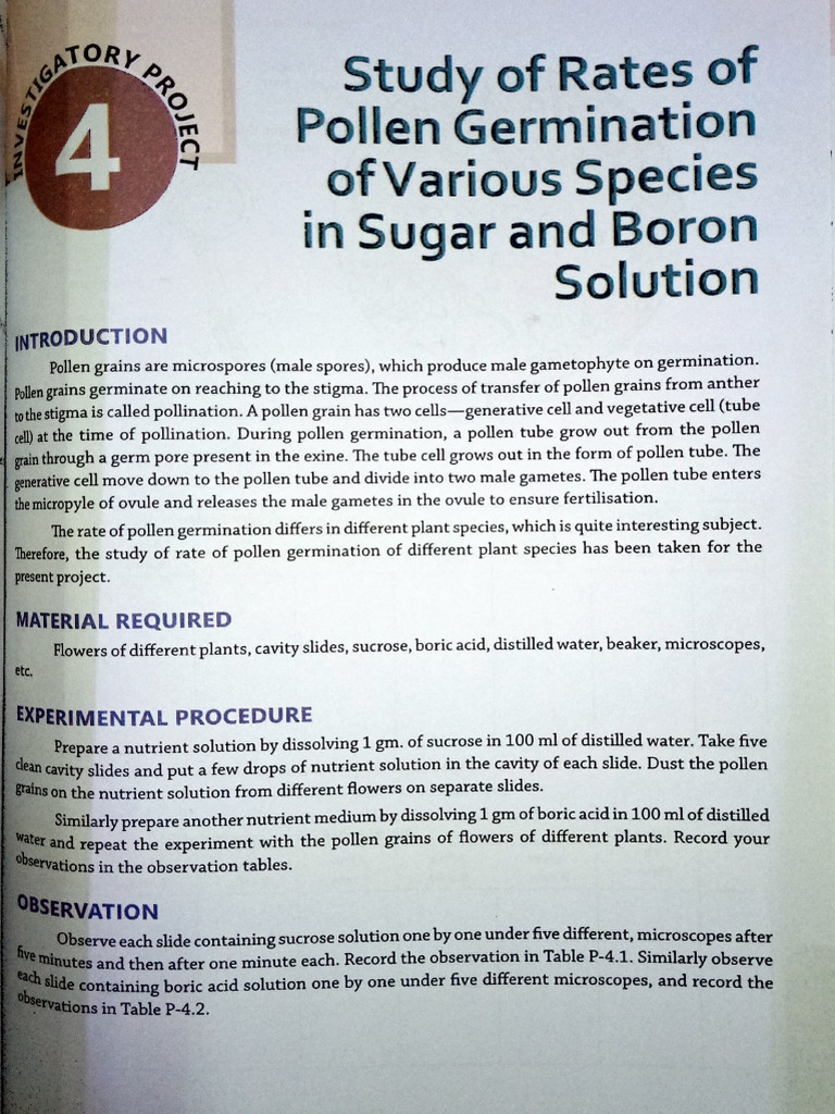 Comprehensive Laboratory Manual | PDF