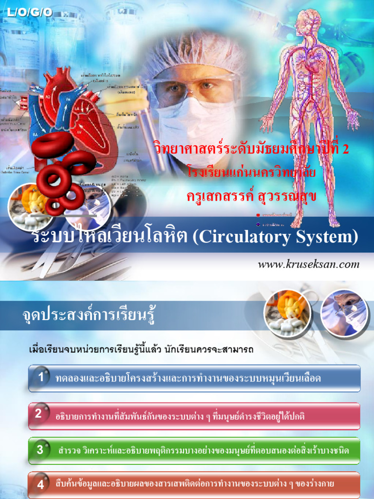 ระบบหมุนเวียนเลือด 2562 | PDF