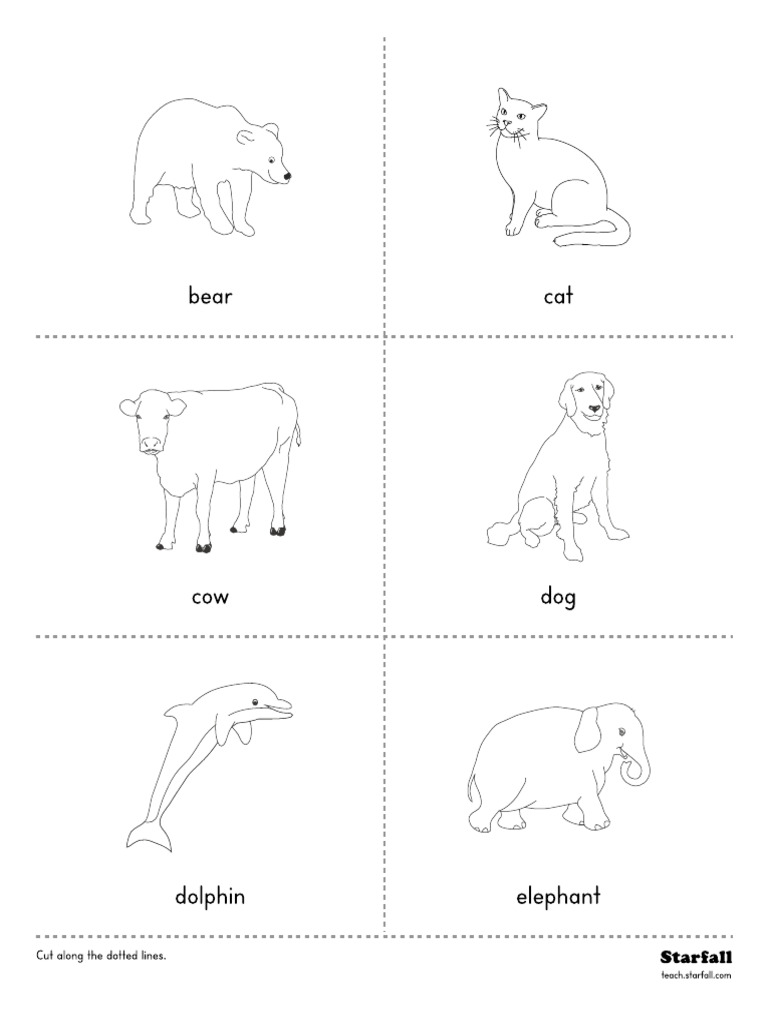 Animal Cards | PDF