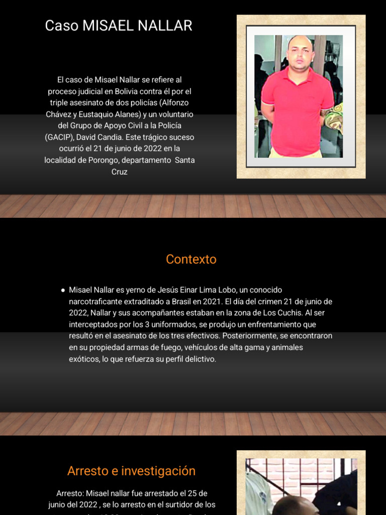 Caso Misael Nallar | PDF | Policía | Asesinato