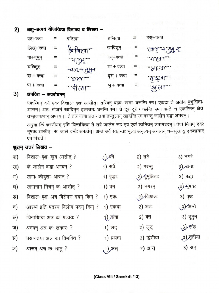 Class 8th Sanskrit | PDF