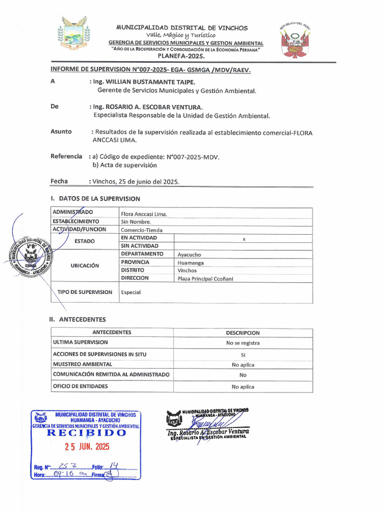 Informe 7 | PDF