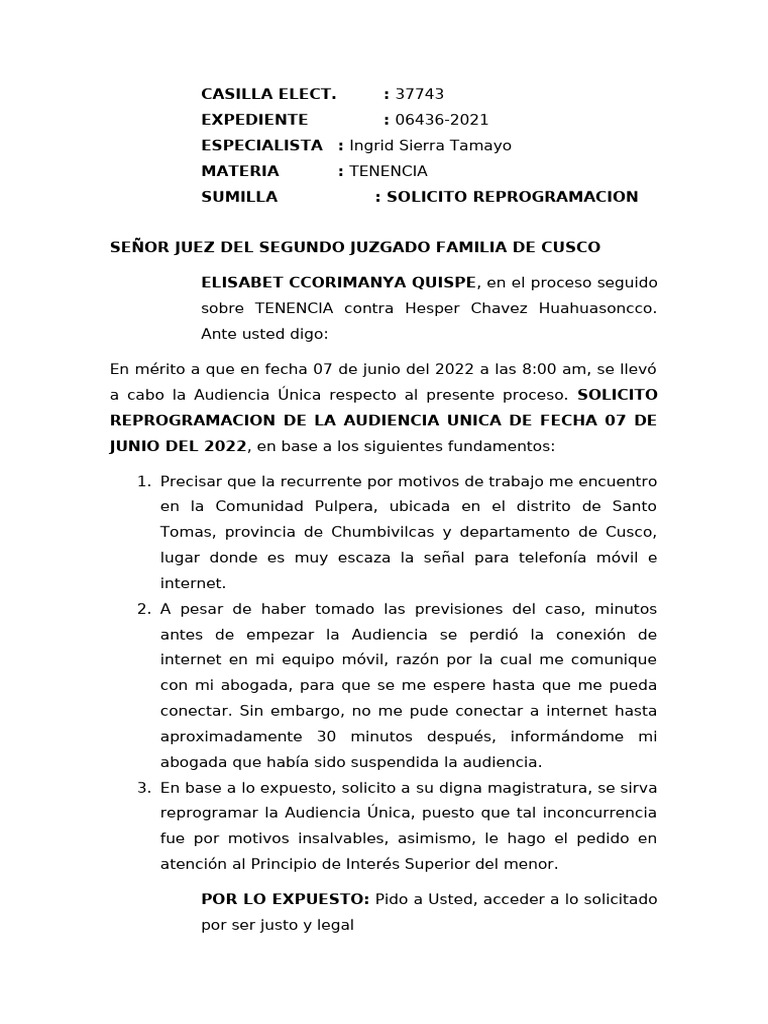 Elizabet - Escrito Reprogramacion | PDF