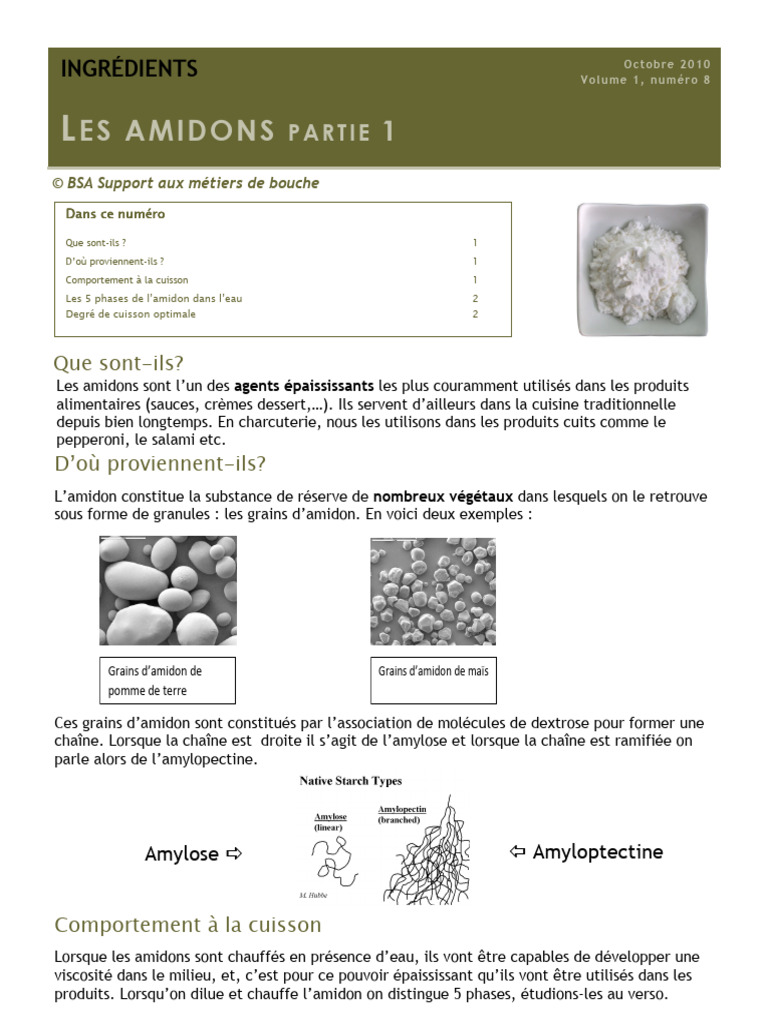 Les amidons : propriétés et cuisson | PDF | Amidon
