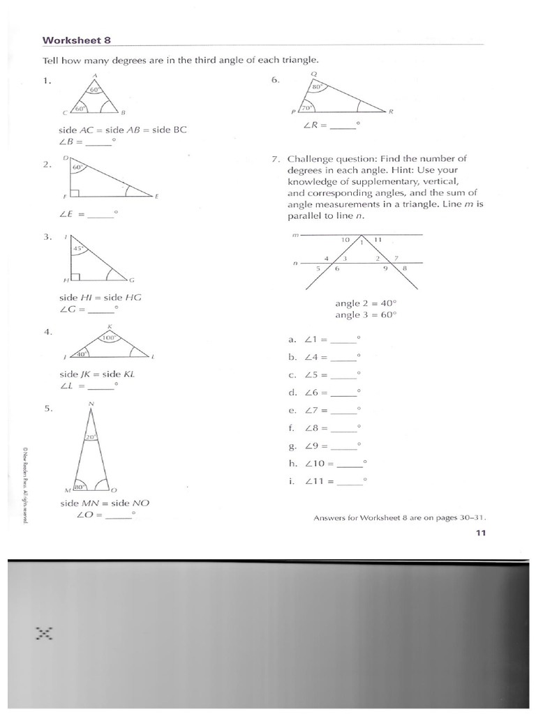 Triangles and Quadrangles Workbook | PDF