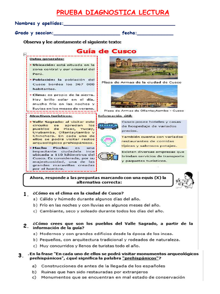 Prueba Diagnostica Lectura | PDF