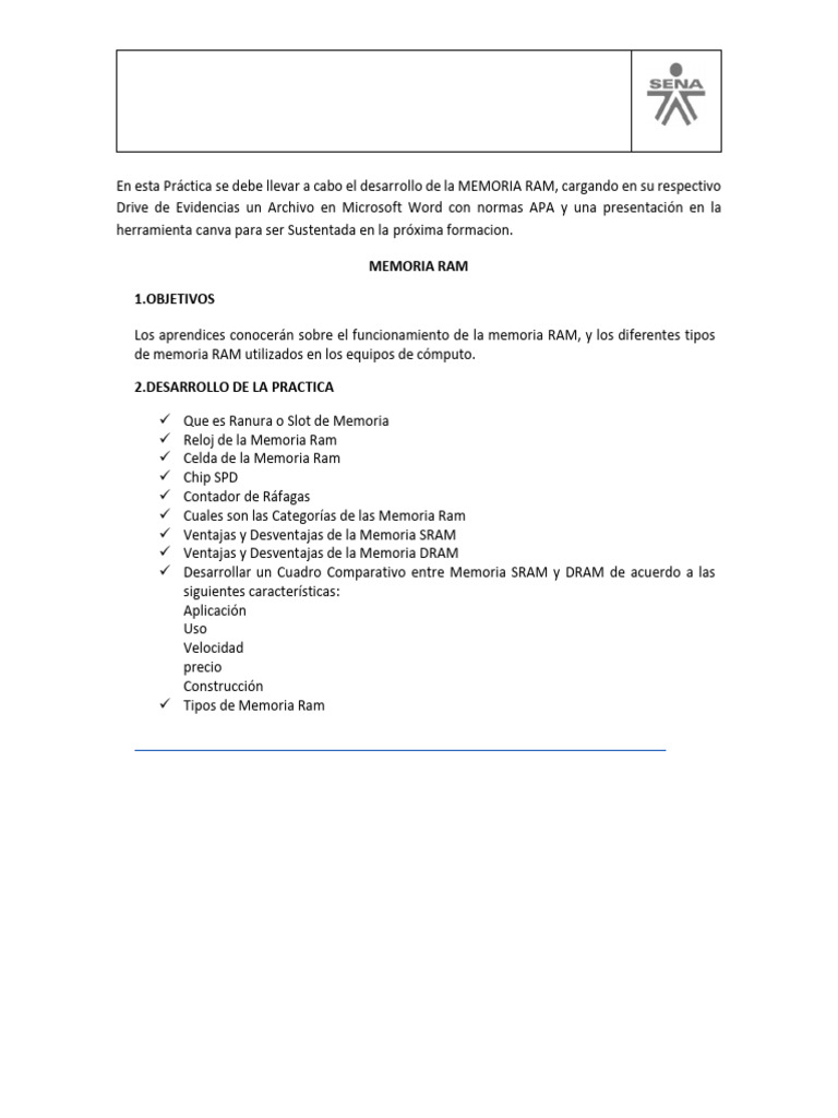 Práctica sobre Memoria RAM en Informática | PDF