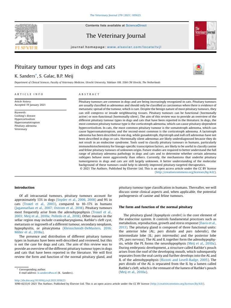 Pituitary Tumour in Dogs and Cats | PDF | Adenoma | Endocrinology
