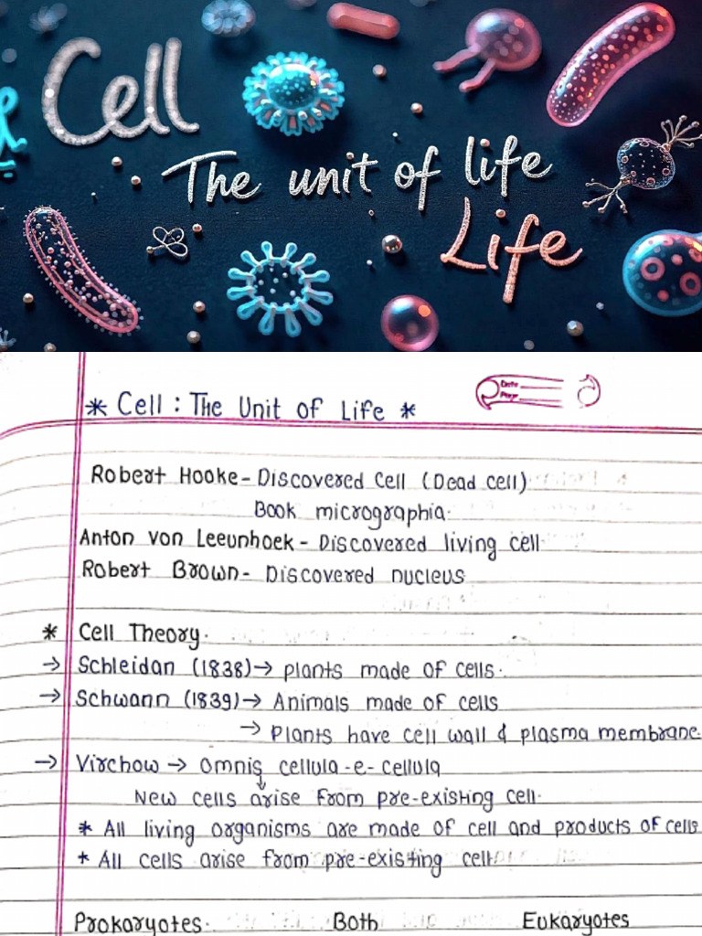 Scanned 20250709-2201 | PDF