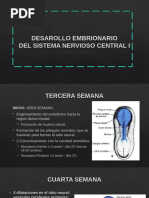 Neurulación - Embriología | PDF | Ciencia y matemáticas