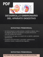Persistencia del Conducto Onfalomesentérico | PDF | Anatomía ...