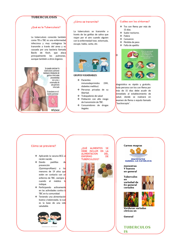 Tuberculosis Triptico | PDF | Tuberculosis | Enfermedades y trastornos