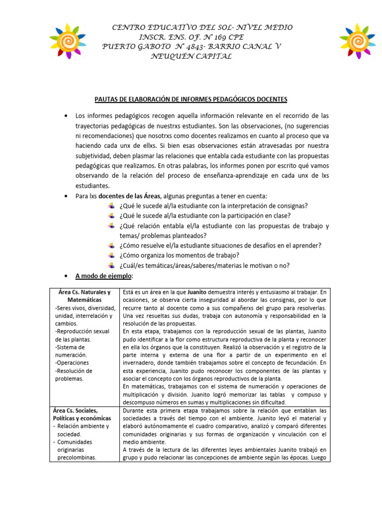 Pautas de Elaboración de Informes 2021 - Ejemplos | PDF