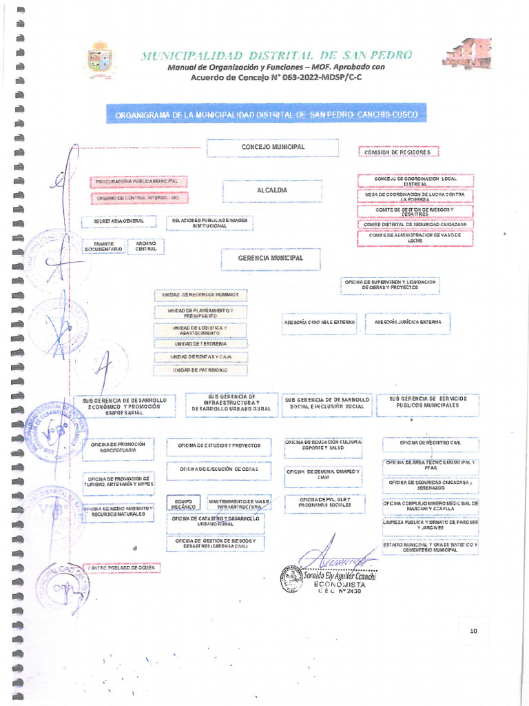 Organigrama MDSP | PDF