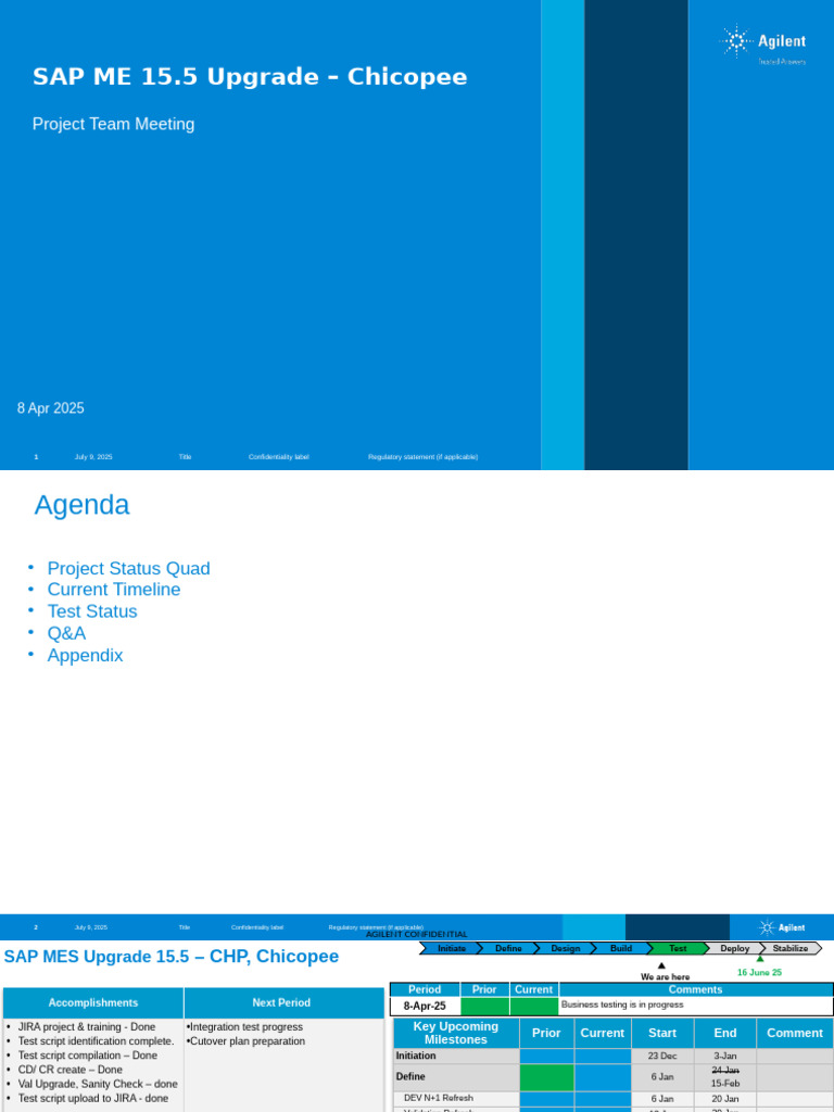 SAP MES Upgrade - Project Team Meeting - 8 - Apr-CHP | PDF