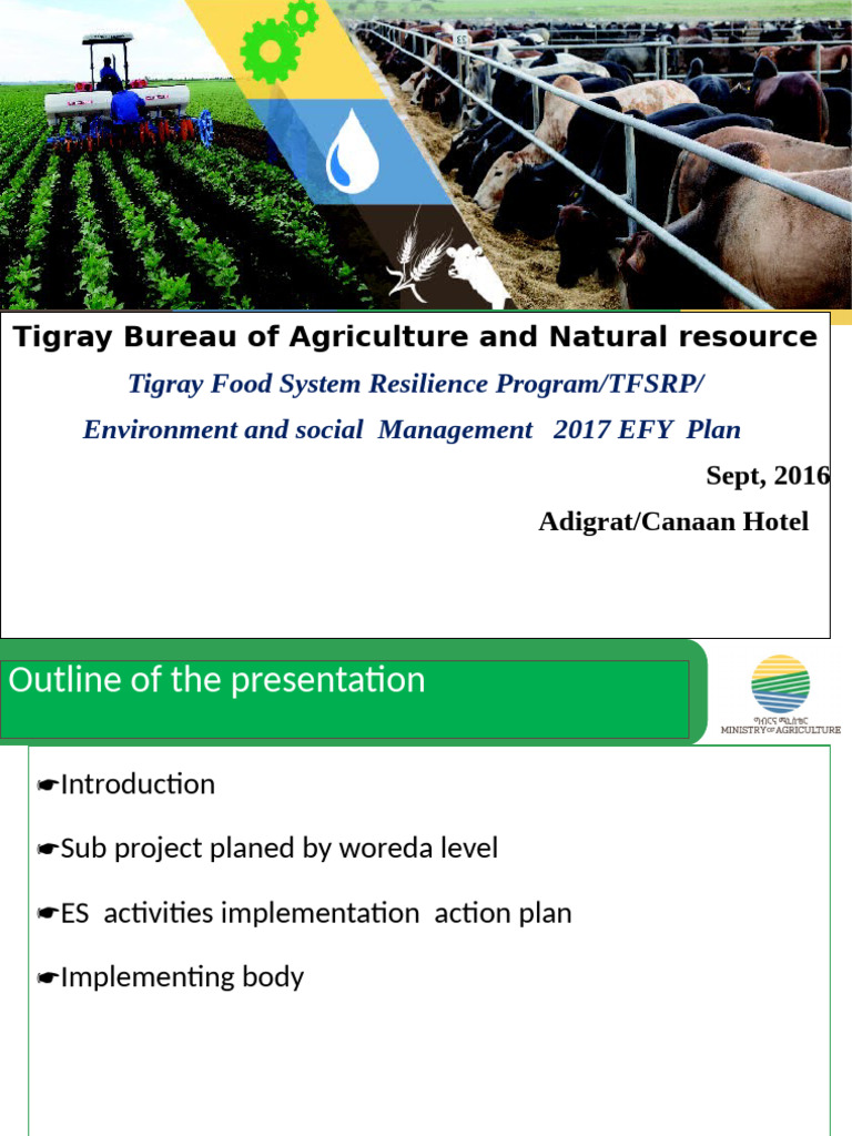 Tigray ES MGT Report Updated | PDF | Agriculture | Food Industry