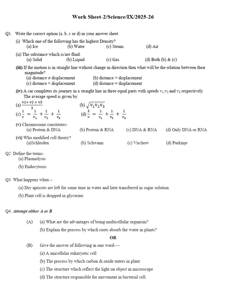 Work Sheet-2 Class 9 Science | PDF | Gases | Liquids