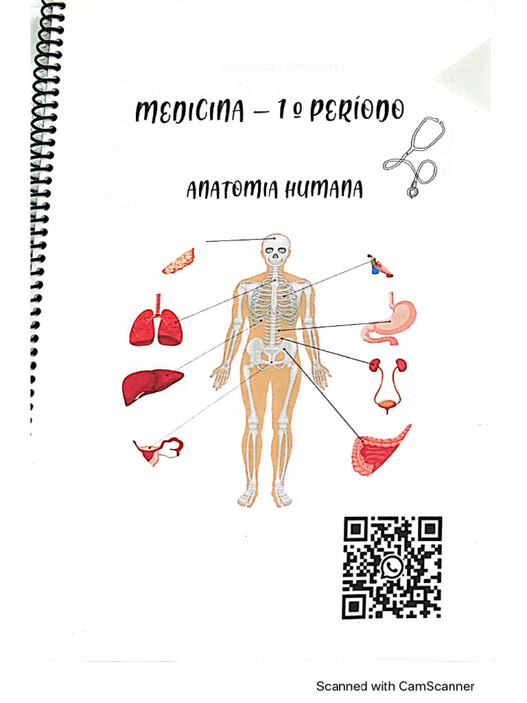 Apostila Anatomia Pdf