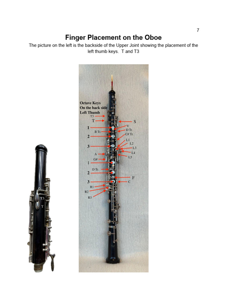 Oboe H Finger Placement Oboe PG 7 | PDF