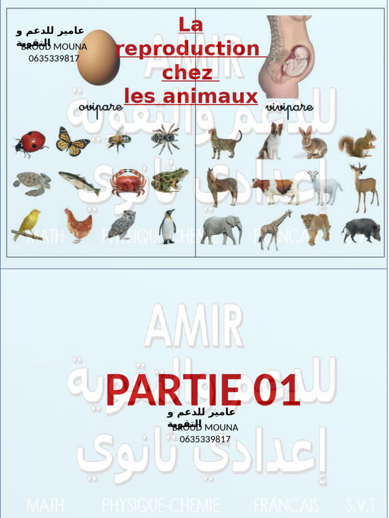 Reproduction animale : modes et processus | PDF | Fécondation | Mâle