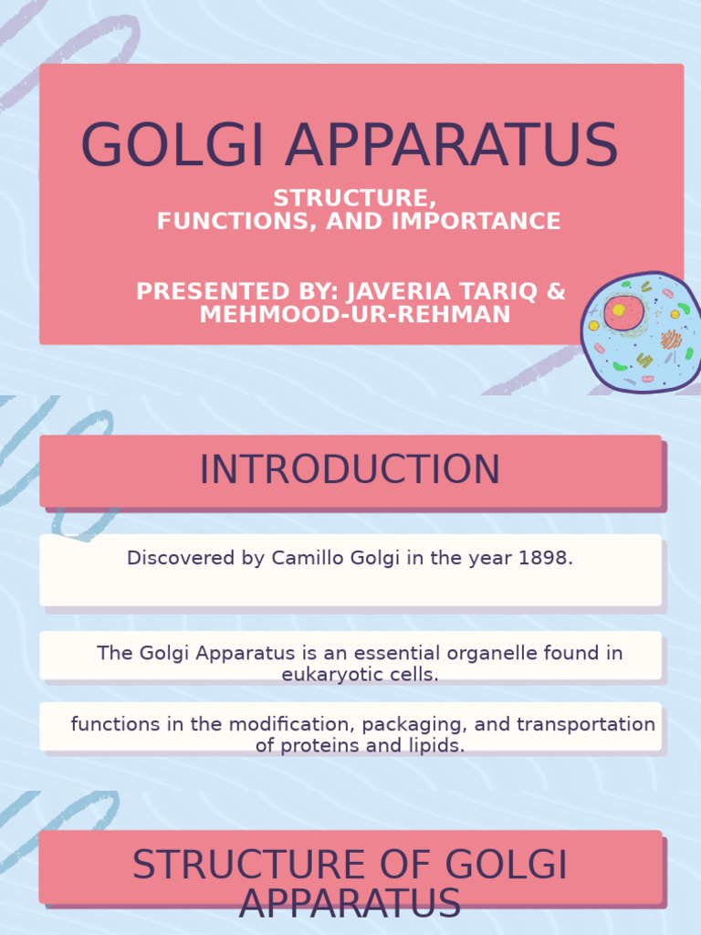 Cell Organelles & Structures Lesson Presentation in Blue and Pink Hand ...