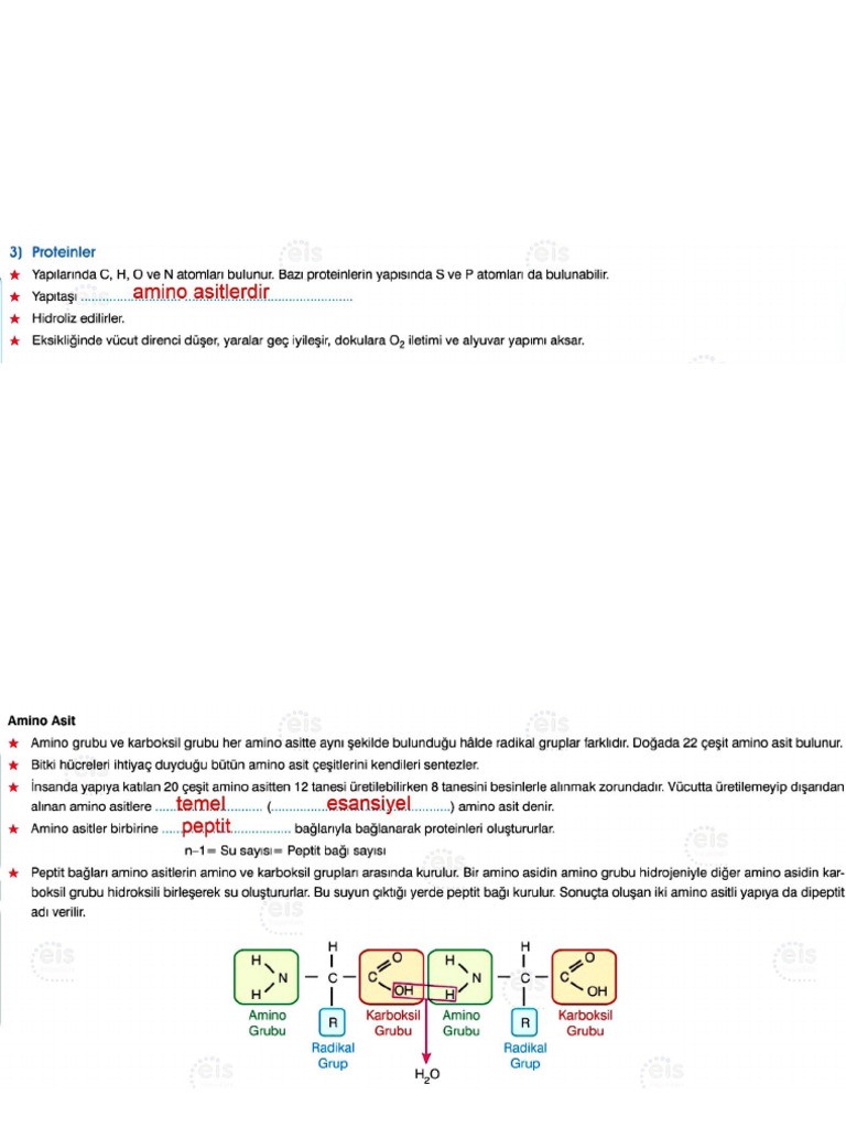 Biyoloji 9af | PDF