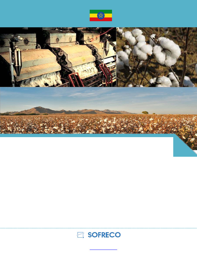 Draft Scoping Study - Rev1 | PDF | Cotton | Agriculture