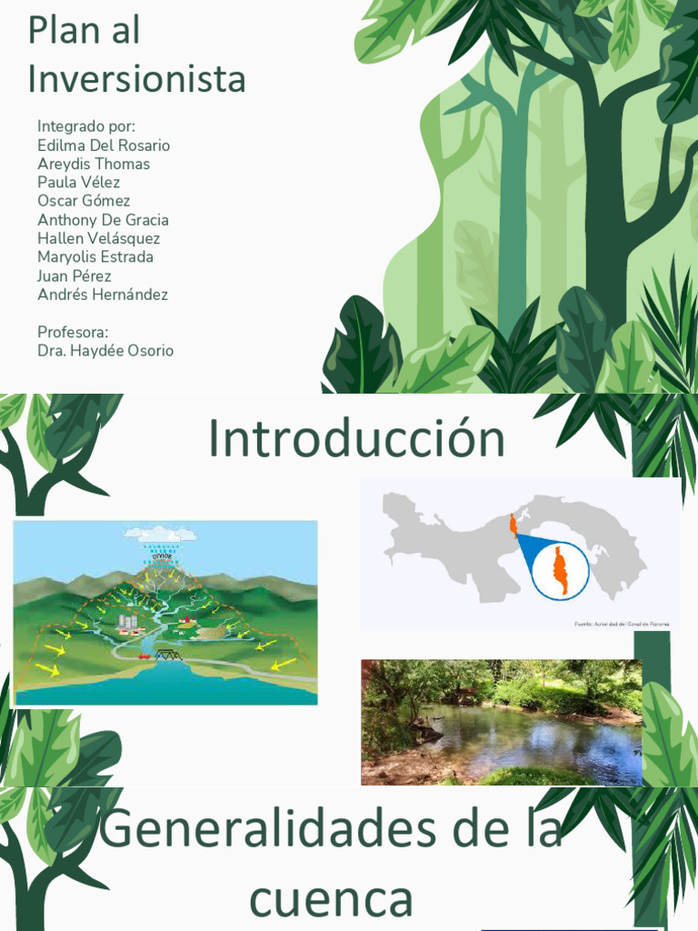 Propuesta de Conservación y Manejo de La Cuenca de Río Indio - PPT | PDF | Los bosques ...