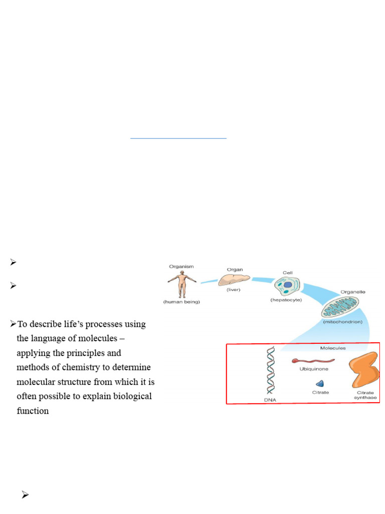 Introduction to Biochemistry Basics | PDF | Biochemistry | Chemistry