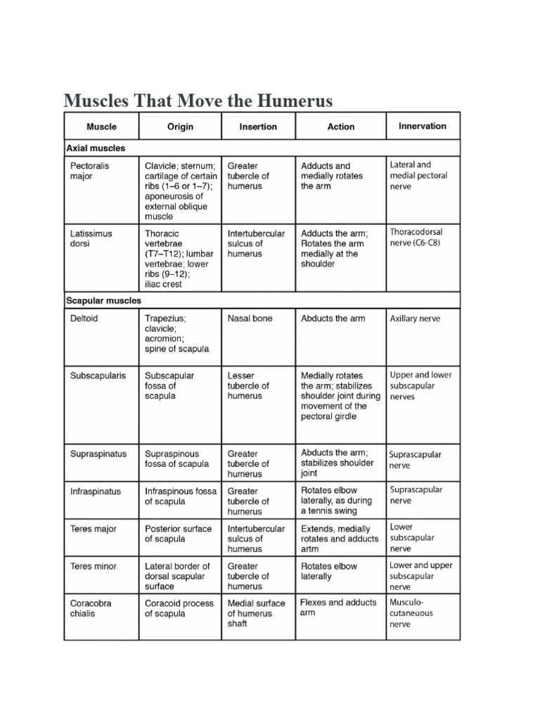 Muscles That Move The Humerus | PDF