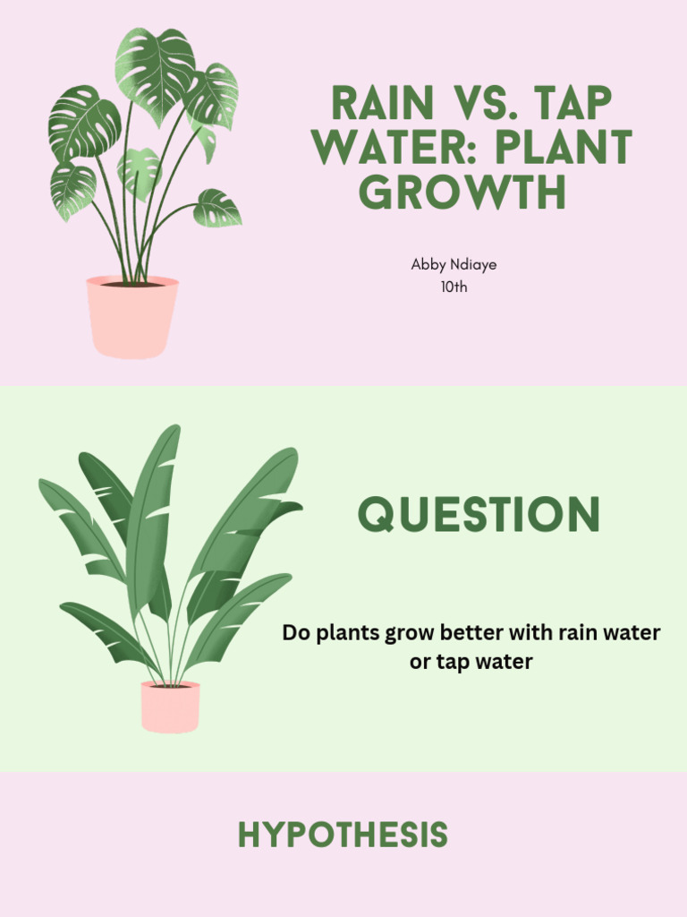 Rainwater vs. Tap Water for Plant Growth | PDF | Rain | Water