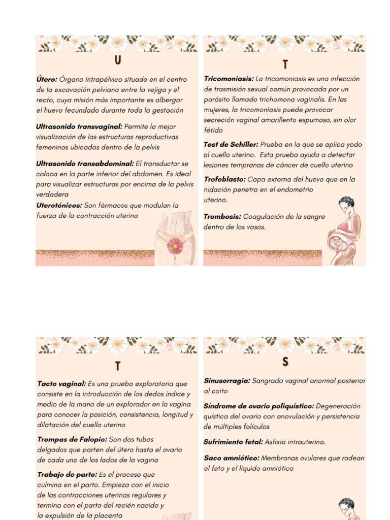 Glosario Gineco | PDF