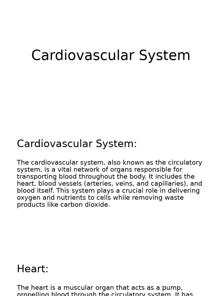 Cardiovascular System | PDF | Circulatory System | Heart
