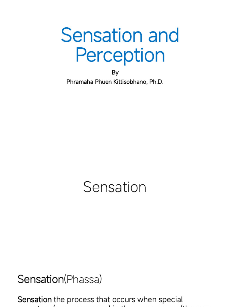 02-Foundations of Perception - 20240916081959 | PDF | Senses | Perception