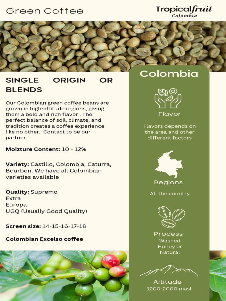 Green Coffee | PDF