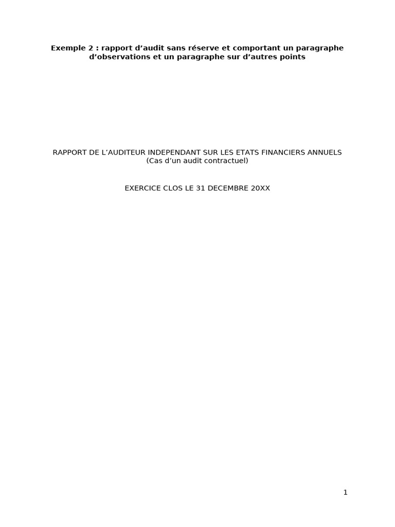 Rapport d'Audit Financier Annuel 20XX | PDF | Audit financier | Audit