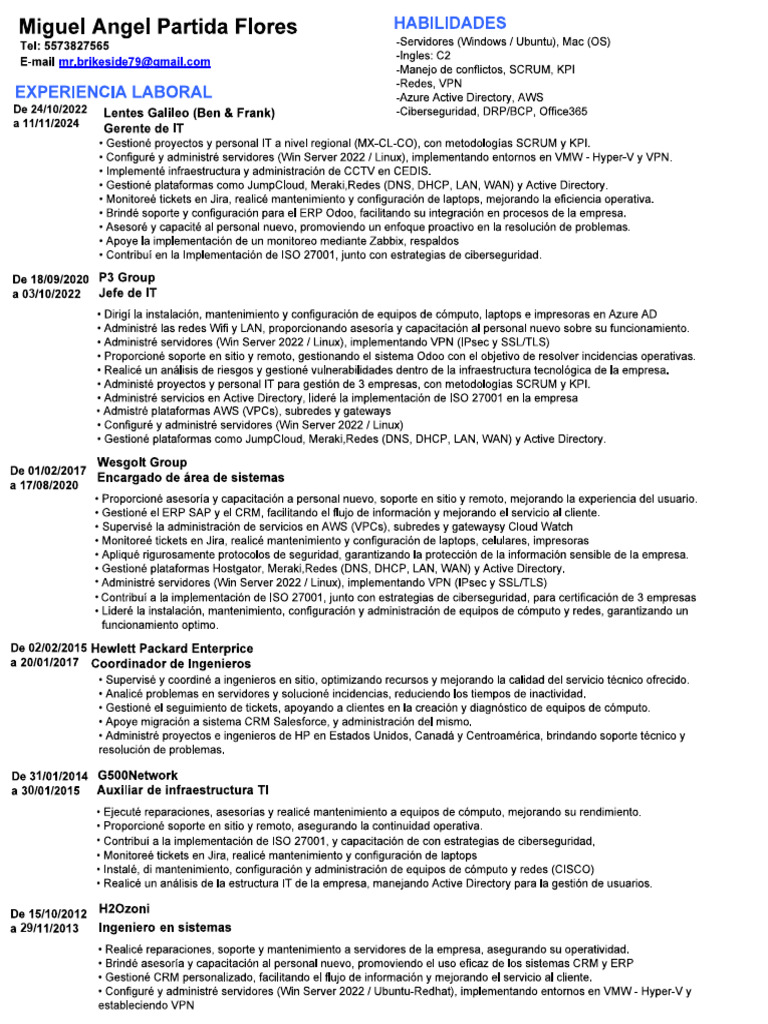 CV Miguel Angel Partida Flores | PDF