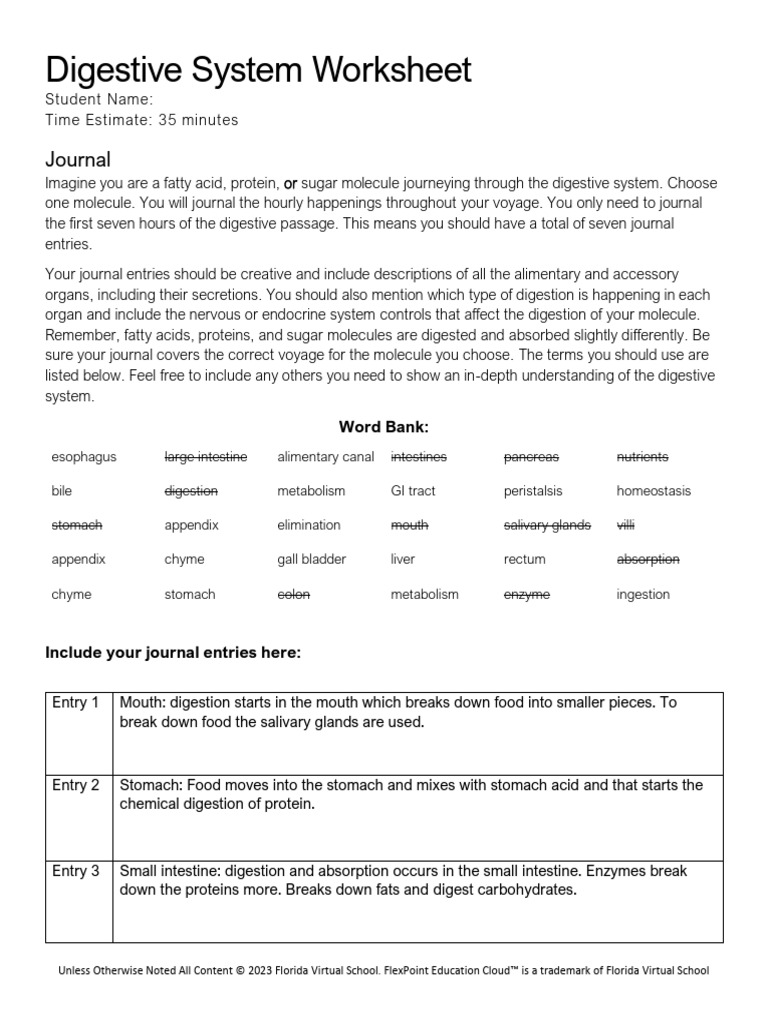 Digestive System Journey Worksheet | PDF | Human Digestive System ...