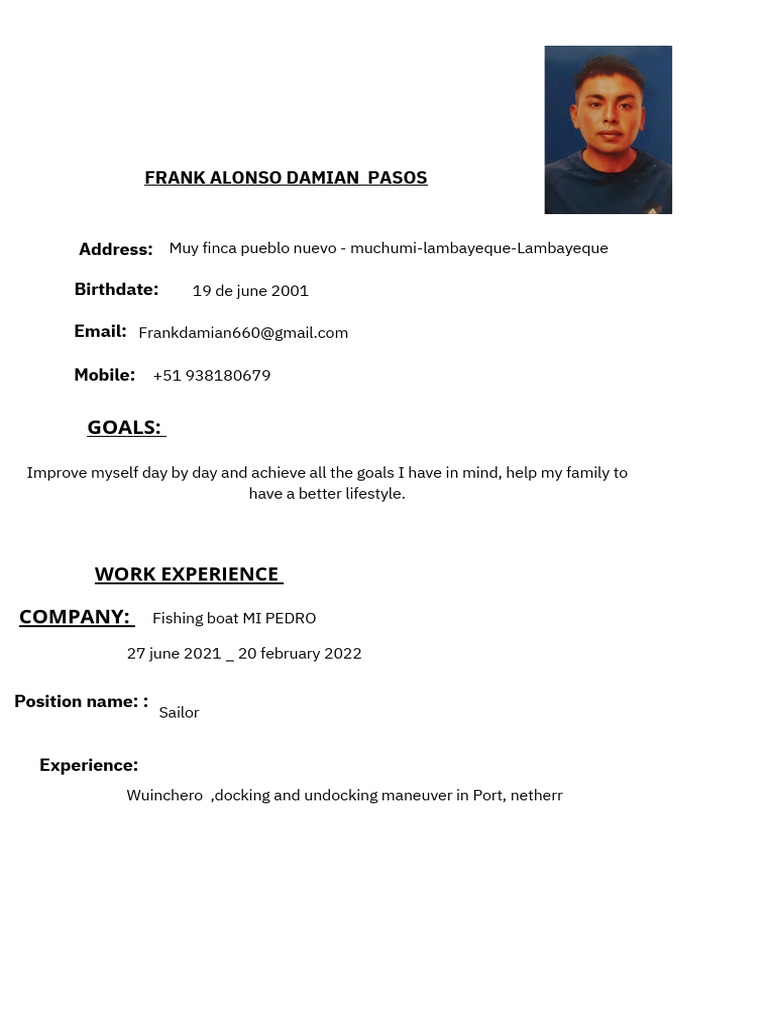 Frank Damian CV Final CV | PDF | Perú