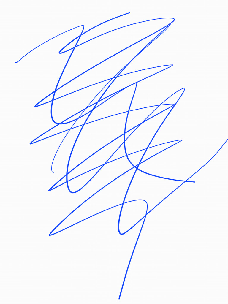 1 250710 010313 | PDF