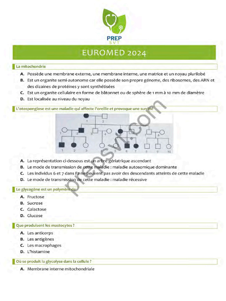 Euromed 2024 | PDF