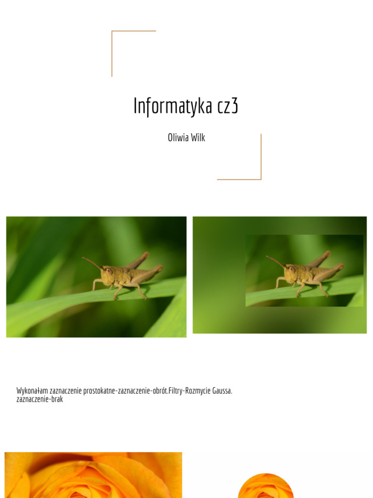 Prezentacja cz3 | PDF