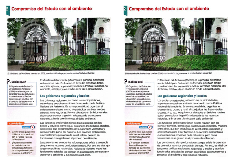 25-06 Compromiso Del EStado Con El Ambiente | PDF